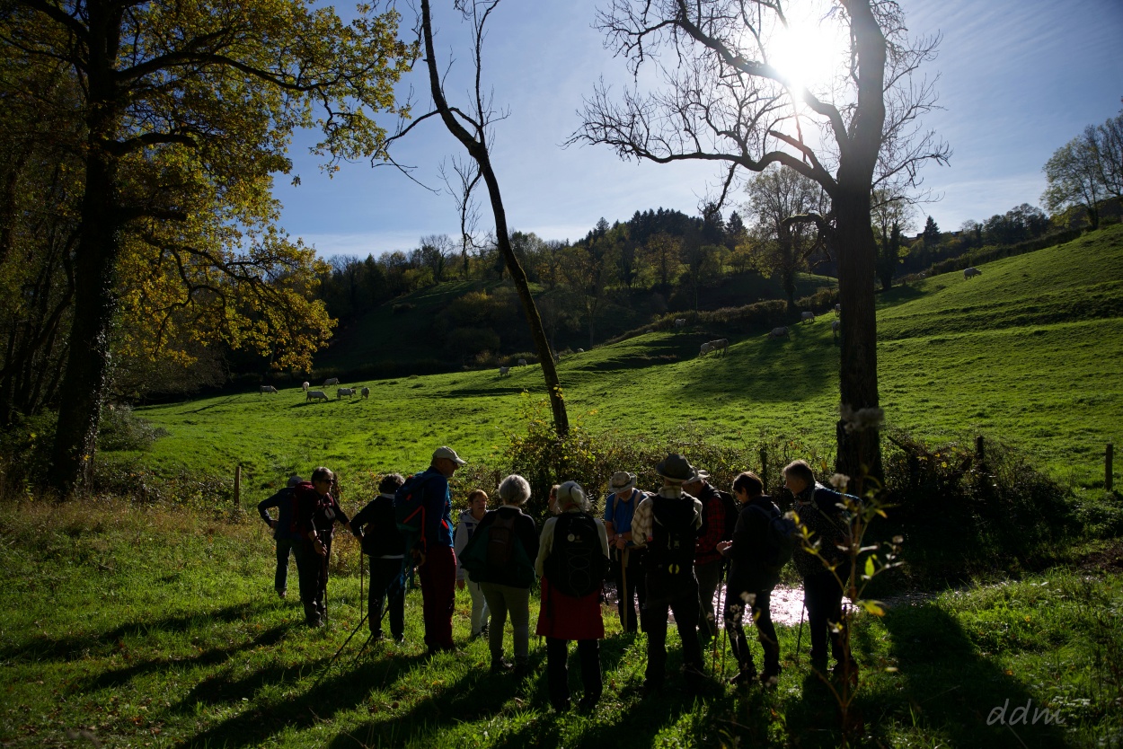 Rando du 30 sept- Chatel Montagne, le Puy du Roc - Assoc Retraite ...